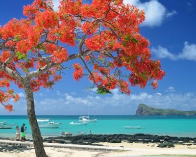 A UK DMC representation company that gives you a real advantage